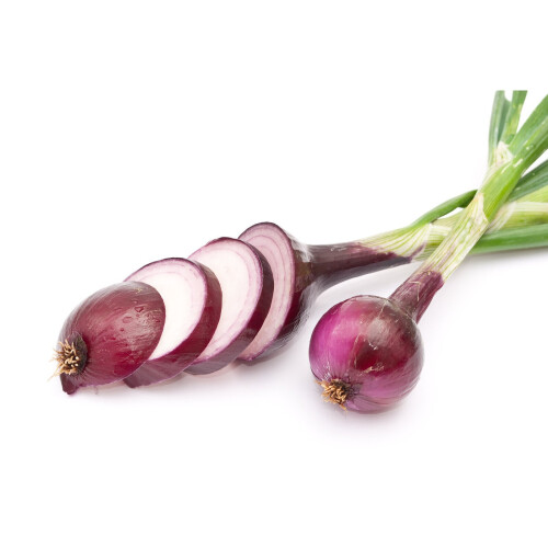 Viridis Hortus - Onion, Lilia Purple Spring Onion - 800 (2.85g's ...