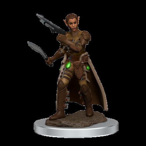WizKids/NECA D&D Icons Of The Realms Premium Figures: Female Shifter ...