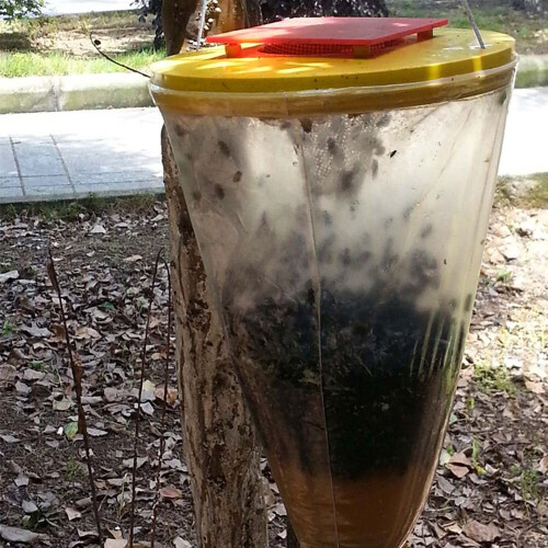 2X FLY BAG TRAP RED TOP CATCHER KILLS 20,000 FLIES INSECTS PEST CONTROL ...