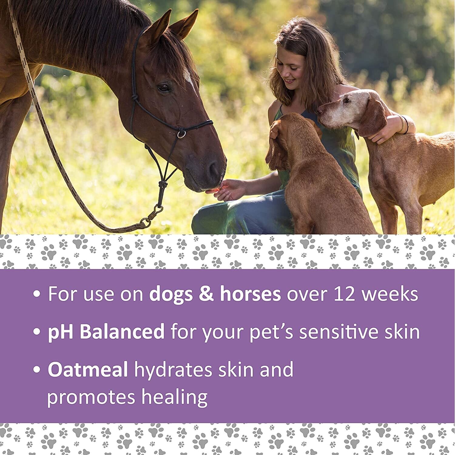 SynergyLabs Veterinary Formula Clinical Care Antiparasitic ...