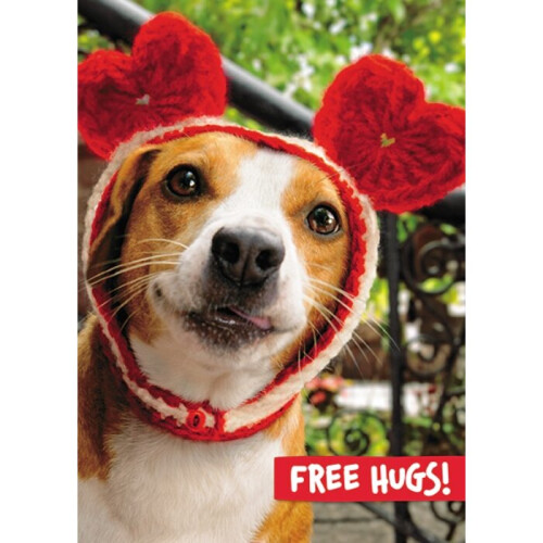 Avanti Valentine's Day Dog I Ruv You Greeting Card Funny Range Cards on ...