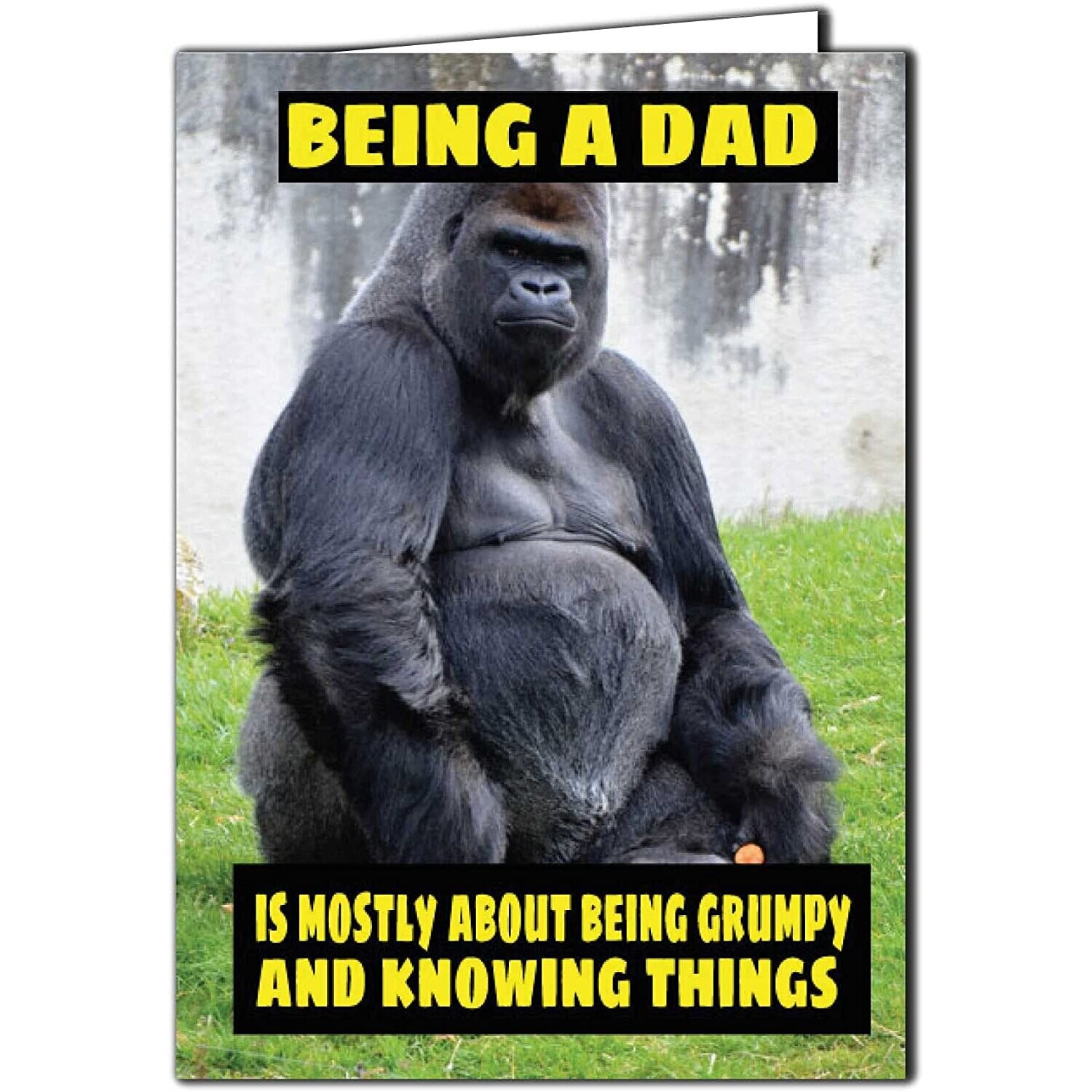 Funny Father's Day Birthday Card Dad Daddy Grumpy and Knowing Things ...