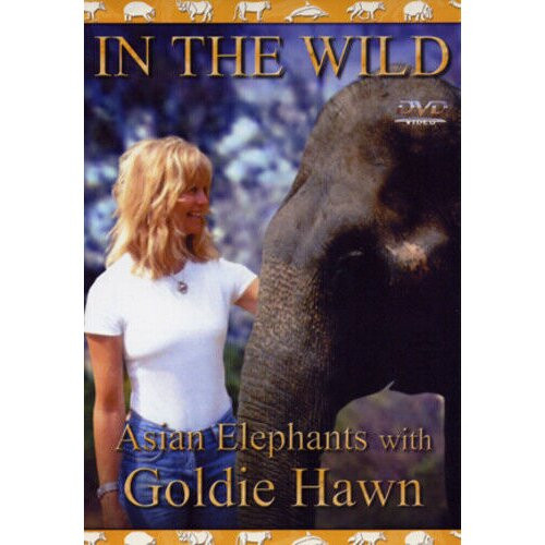 In the Wild Asian Elephants With Goldie Hawn DVD (2003) Andrew Jackson ...