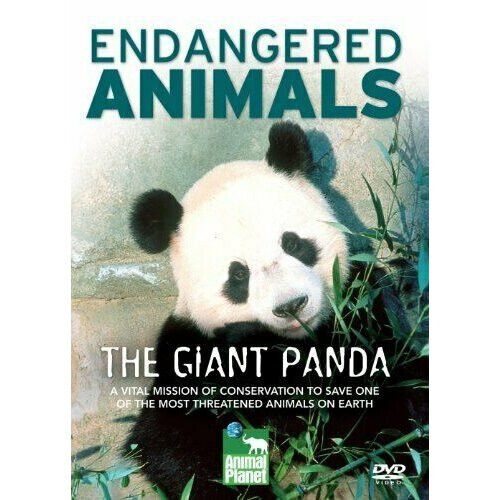 The Giant Panda Endangered Animals DVD - Region 2 on OnBuy