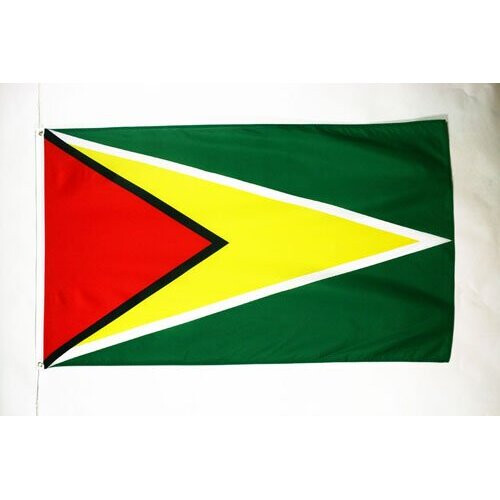 AZ FLAG Guyana Flag 3' x 5' - Guyanese flags 90 x 150 cm - Banner 3x5 ...