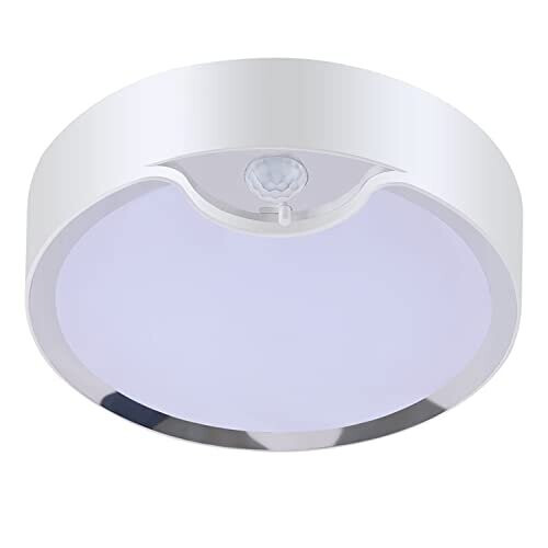 NAGETA Motion Sensor Ceiling Light Battery Operated Indoor LED Ceiling ...