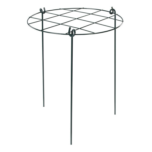 450mm Tall Plant Growing Support Frame Long Stem Flower / Climbers ...