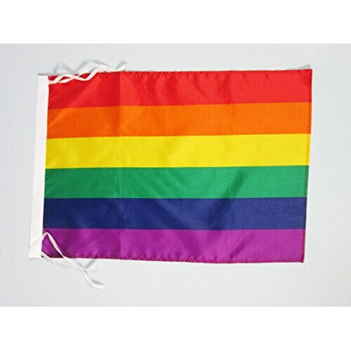 AZ FLAG Rainbow Flag 18'' x 12'' cords - Gay pride SMALL flags 30 x ...