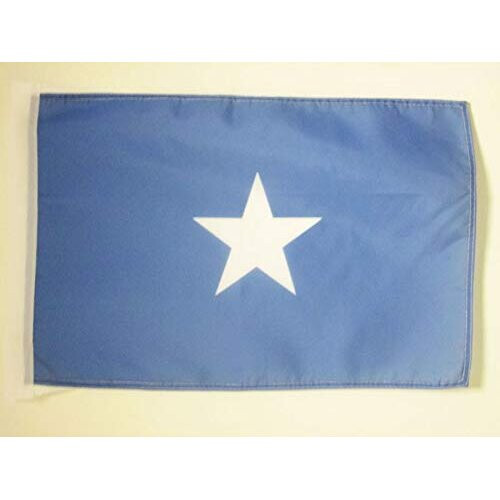 AZ FLAG Somalia Flag 18'' x 12'' cords - Somali SMALL flags 30 x 45cm ...