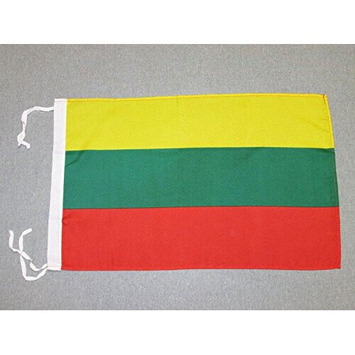 AZ FLAG Lithuania Flag 18'' x 12'' cords - Lithuanian SMALL flags 30 x ...