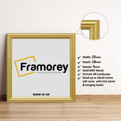 (14x14 Inch) Square Size Gold Picture Frame / LW Style Wall Art Frame ...