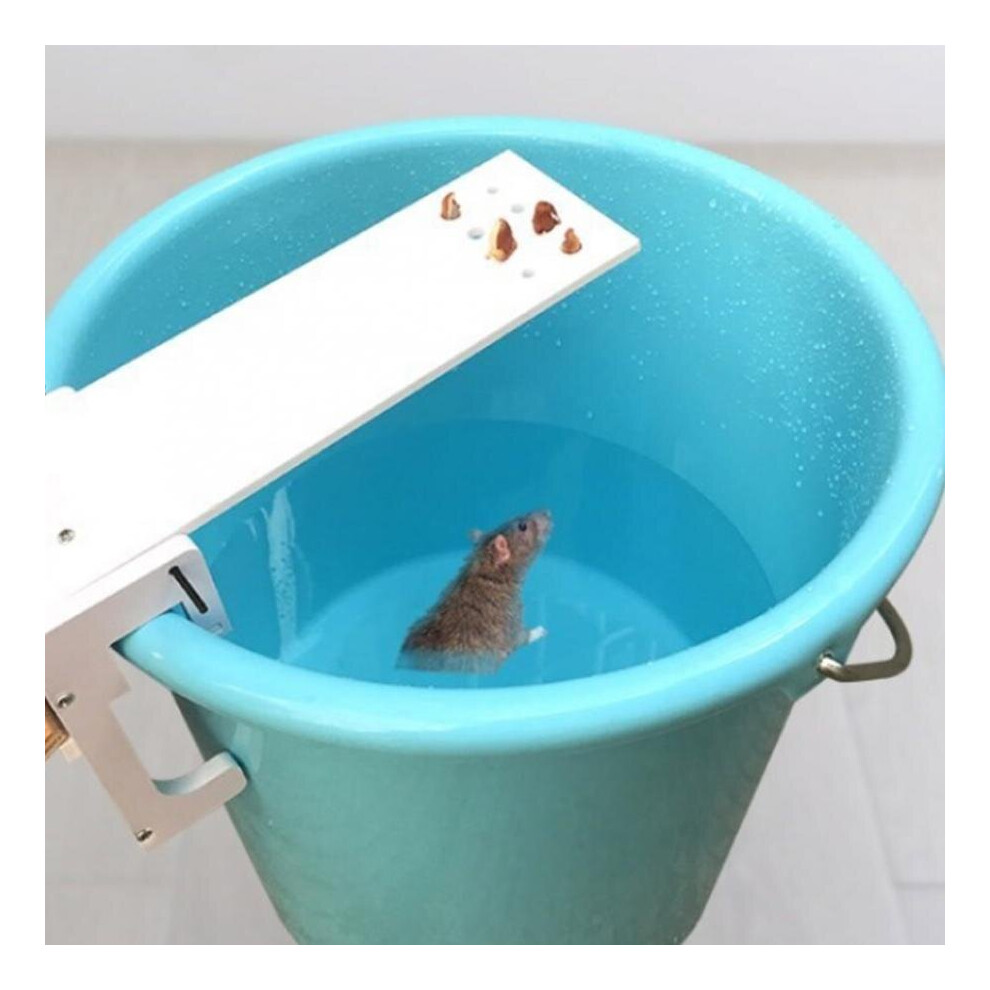 Mice catcher store