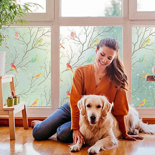60*200CM Frosted Bird Window Film No Glue Glass PVC Privacy Film on OnBuy