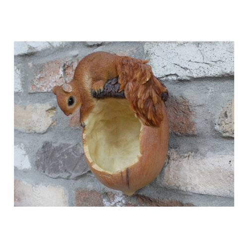 Garden Squirrel Design Wall Mounted Feeder on OnBuy