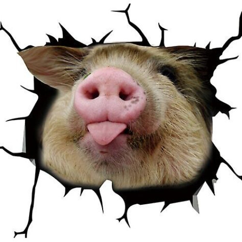 ( Pig 01) Funny Pig Cracked Car Sticker Car Window Meme Cattle Decal 12 ...