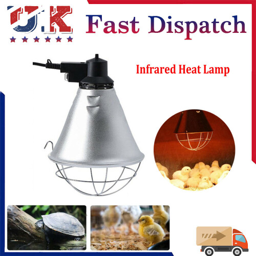 Infrared Heat Lamp Incubators Poultry Heat Lamp for Puppy/Kennel on OnBuy