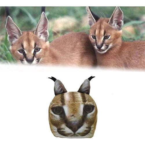 Big Floppa Plush Cartoon Cat Plushie,Raise a Floppa Plush Toy,7.5in ...