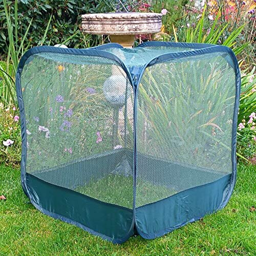 GardenSkill Mini Pop Up Net Fruit Cage - Small Garden Cover Cloche to ...