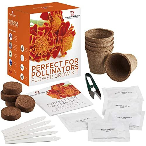 Perfect for Pollinators Seed Growing Kit Gift Box 5 Bee Friendly ...