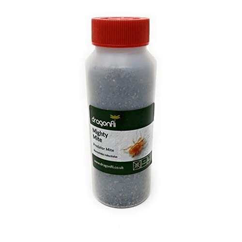 Mighty Mite Dragonfli Terra - Predatory mites kill Sciarid fly, Fungus ...