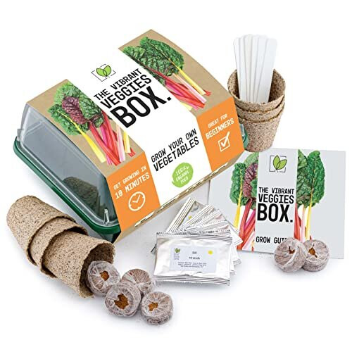 Large Grow Your Own Veggies Kit | Bonus Mini-Greenhouse Included ...