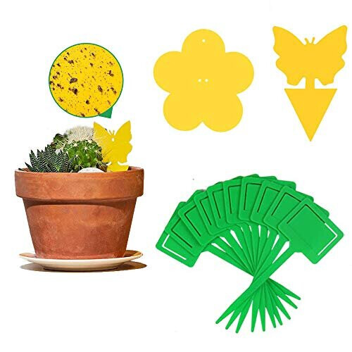 25 Pcs Yellow Trap Fly Traps, Butterfly Shape, Fly Catcher Stickers for ...