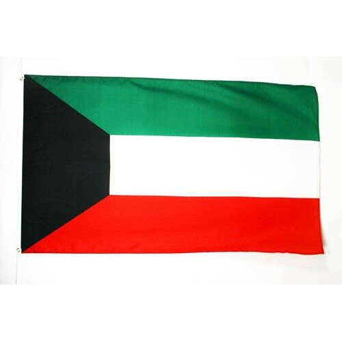 AZ FLAG Kuwait Flag 3' x 5' - Kuwaiti flags 90 x 150 cm - Banner 3x5 ft ...
