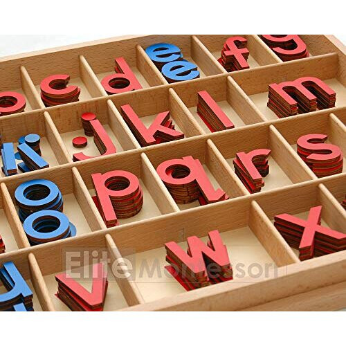 Elite Montessori Wooden Movable Alphabet with Box Preschool Spelling ...