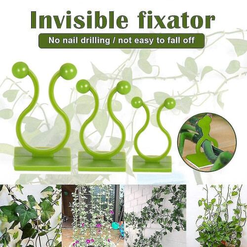 Invisible Wall Vines Fixture Cages Wall Rattan Clamp Plant Climbing ...