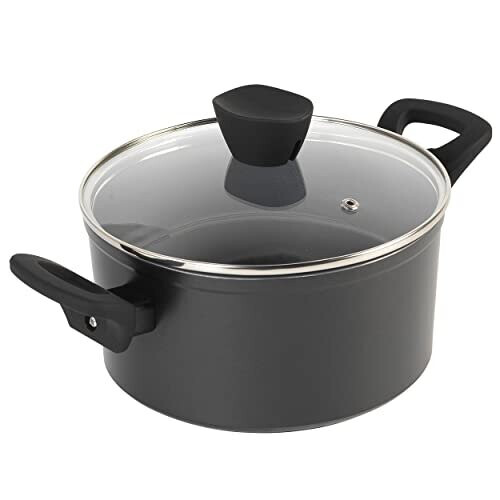 Russell Hobbs RH01712EU Stockpot with Glass Lid, Non-Stick Induction ...