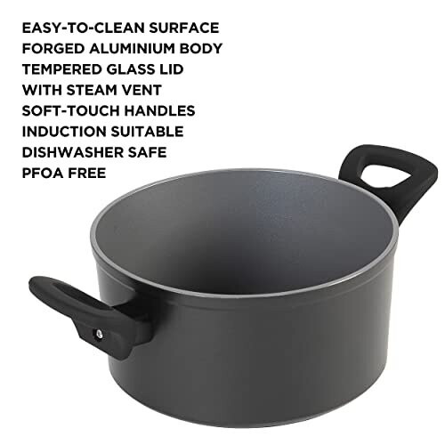 Russell Hobbs RH01712EU Stockpot with Glass Lid, Non-Stick Induction ...