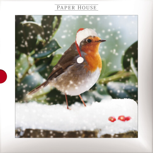 Box of 16 Red Robin In Hat Photographic Christmas Cards In 2 Designs ...