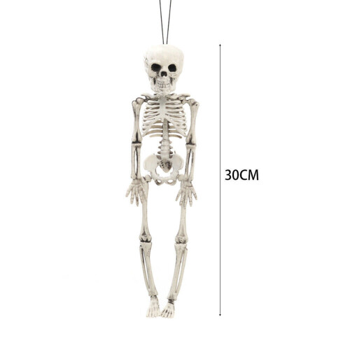 (30CM) Full Size Halloween Skeleton Haunted House Poseable Human ...