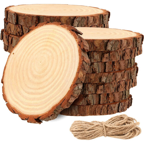 12 PCS 5.1-5.5 Inch?Craft Wood Slice with Hole, Unfinished Wooden ...