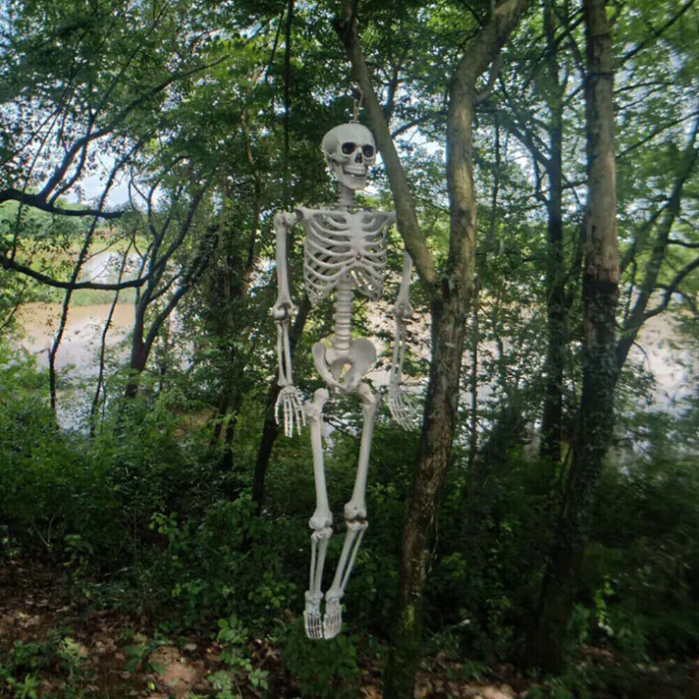 170cm Giant Life Size Human Skeleton Model Horror Bone Posable ...