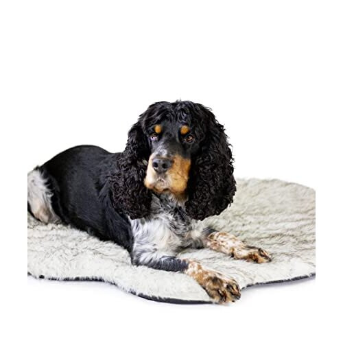 Rosewood Cupid and Comet Faux Fur Orthopaedic Dog Rug Bed,Extra Large ...