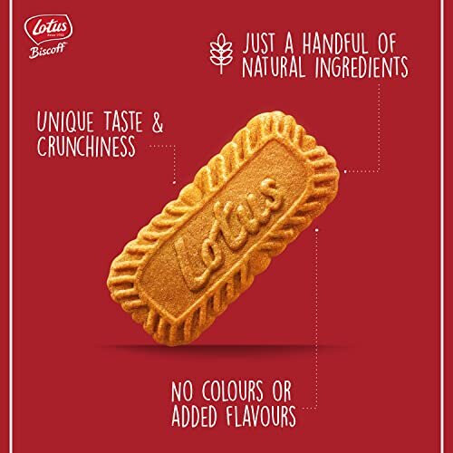 Lotus Biscoff Original Caramelised Single Biscuits (Pack of 300 ...