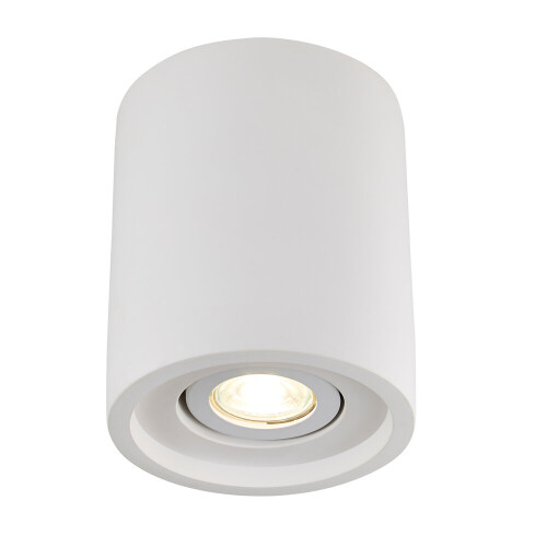 Litecraft Keen Paintable Downlight Tiltable Plaster Spotlight - White ...
