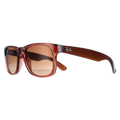 Ray-Ban Sunglasses Justin 4165 659413 Transparent Light Brown Brown ...