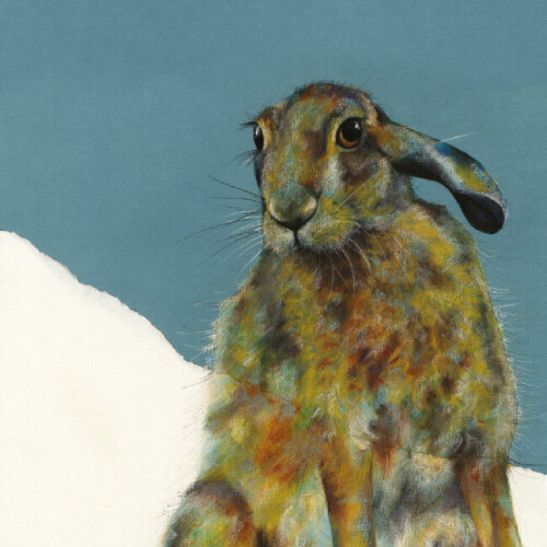 The Hare Collection Walter The Hare Any Occasion Animal Art Greeting ...