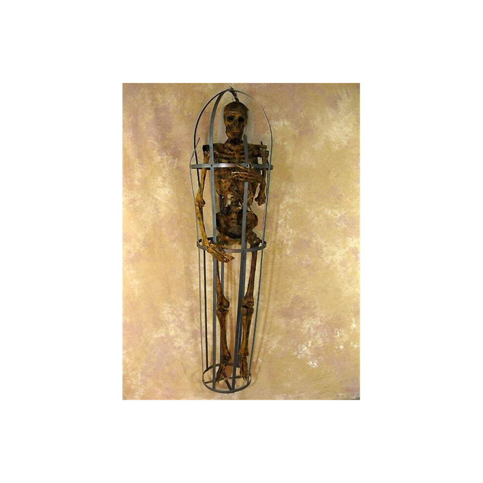 Skeletons & More CAGE-200C Life-Size Iron Skeleton Cage with Corpsed ...