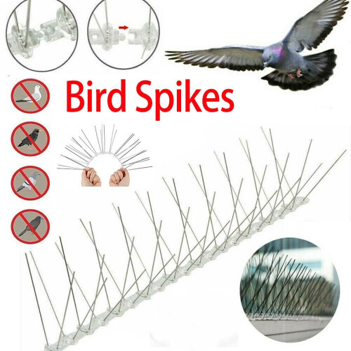 10x Bird Pigeon Metal Wall Fence Spikes Deterrent Anti Perch Control Repeller on OnBuy