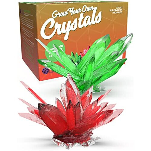 Purple Ladybug Crystal Growing Kit for Kids - Grow Your Own Large ...