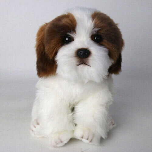 Lifelike Realistic Shih tzu Plush Dog Cute Puppy Stuffed Toy Kids Gift ...