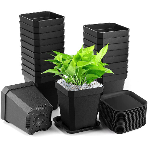 Propagation Pots 7 x 7 x 8 cm, Pack of 20 Plant Pots with Saucer ...