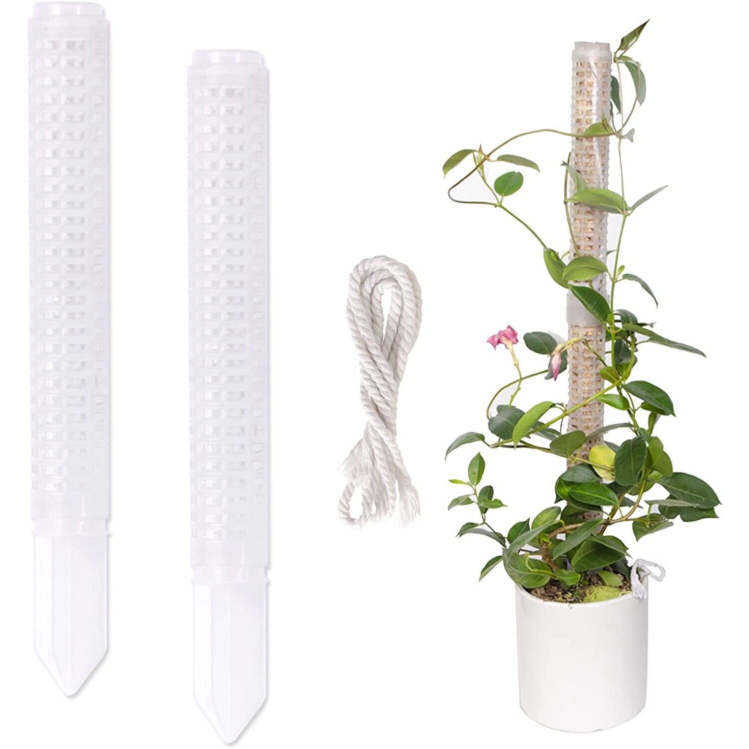 2 Pack Plastic Moss Pole Accessories 15.7" Self Watering Moss Pole for ...