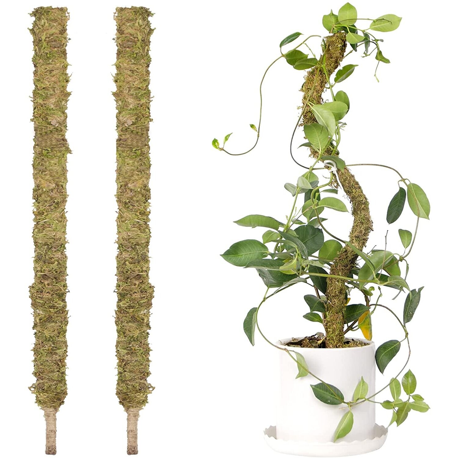 2 Pack 25" Large Real Moss Pole for Monstera Bendable Plant Stakes ...