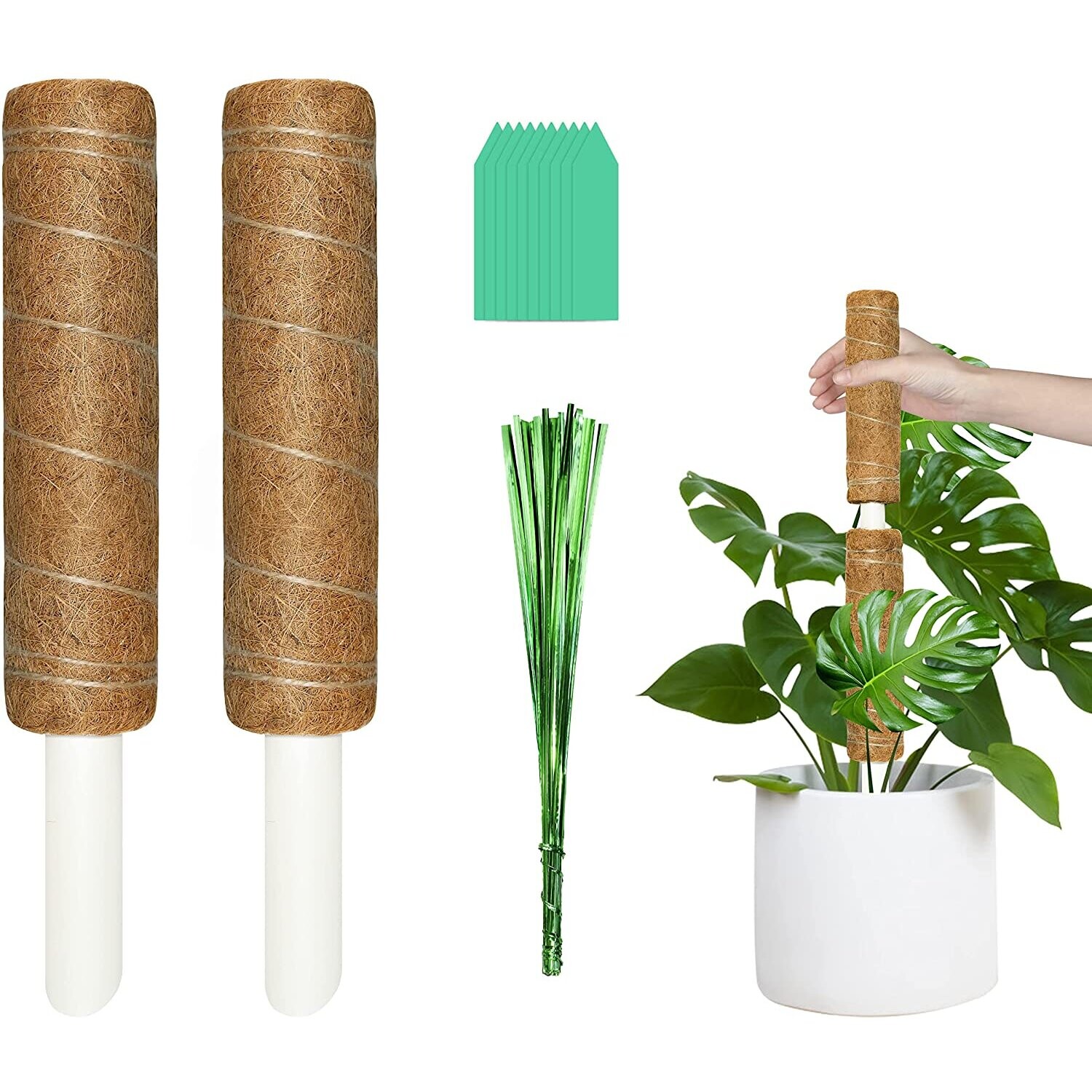 Moss Pole, 24 Inch Moss Poles for Climbing Plants, Moss Pole for Plants ...