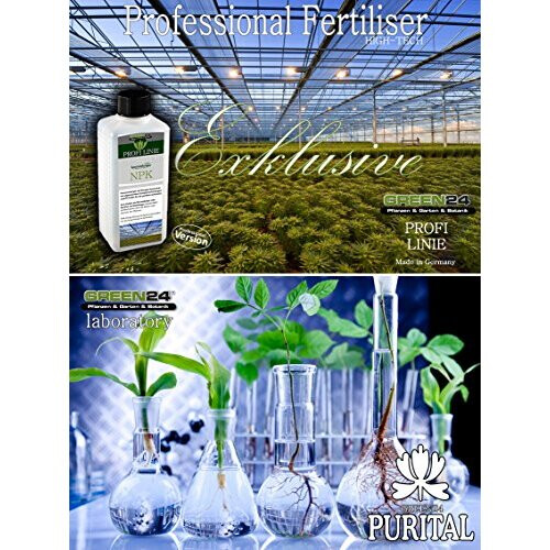 Olive Tree Liquid Fertilizer Feed Plant Food NPK for Olea europaea Olea ...