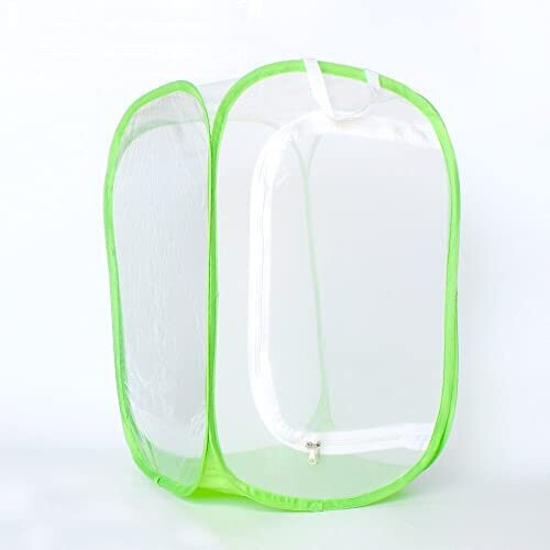 NFF57 Green Large Portalbe Insect Butterfly Habitat kits Insect ...